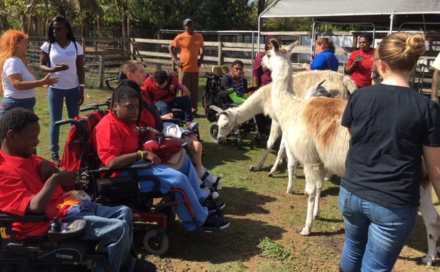 Meet Marie Lim of HAPPI Farm - Voyage MIA Magazine | Miami City Guide