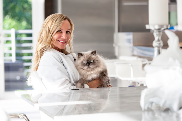 Meet Dr. Heidi Foster of Miami Beach Animal Wellness and Specialty ...