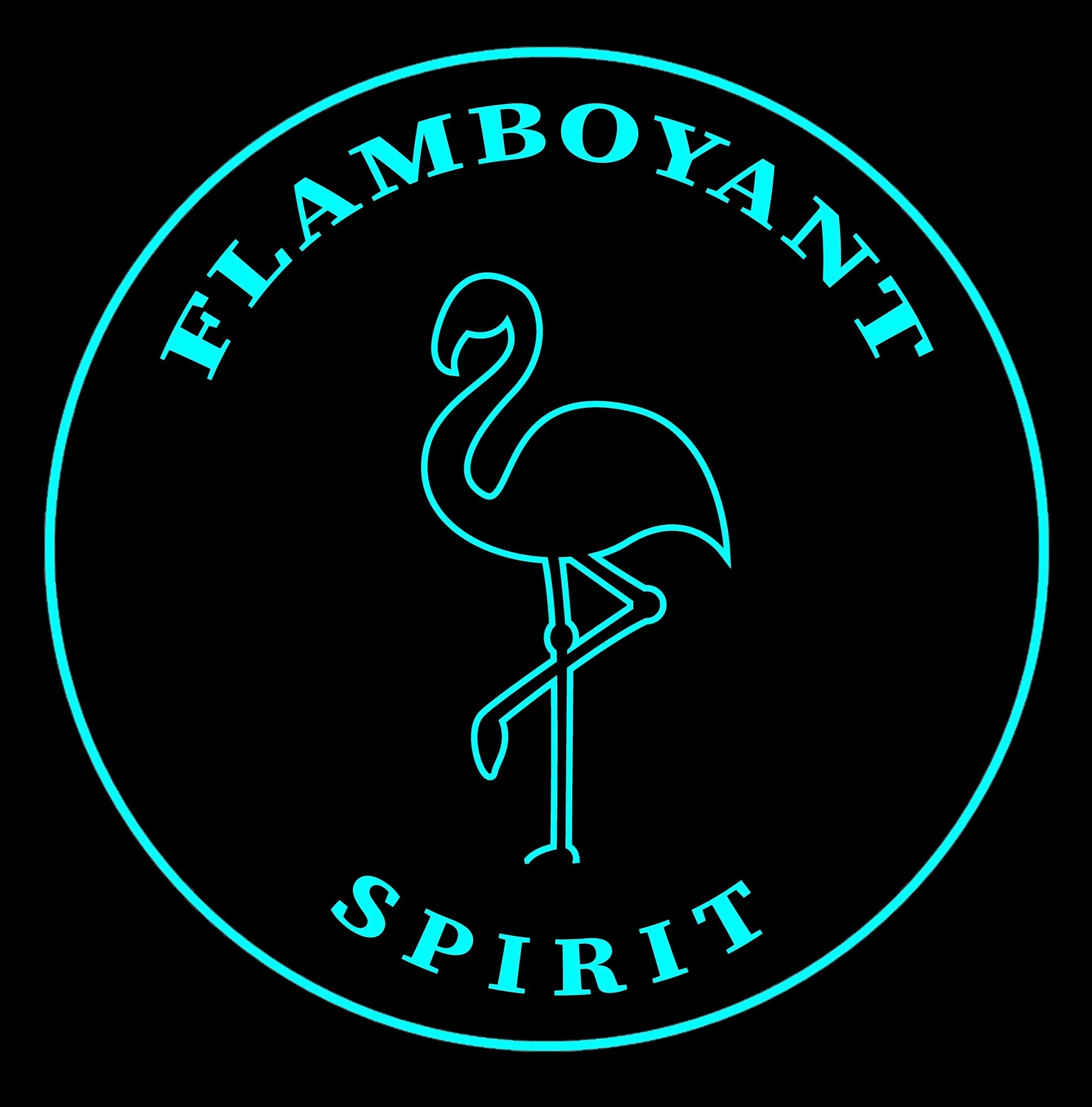 Meet Flamboyant Spirit - Voyage MIA Magazine | Miami City Guide