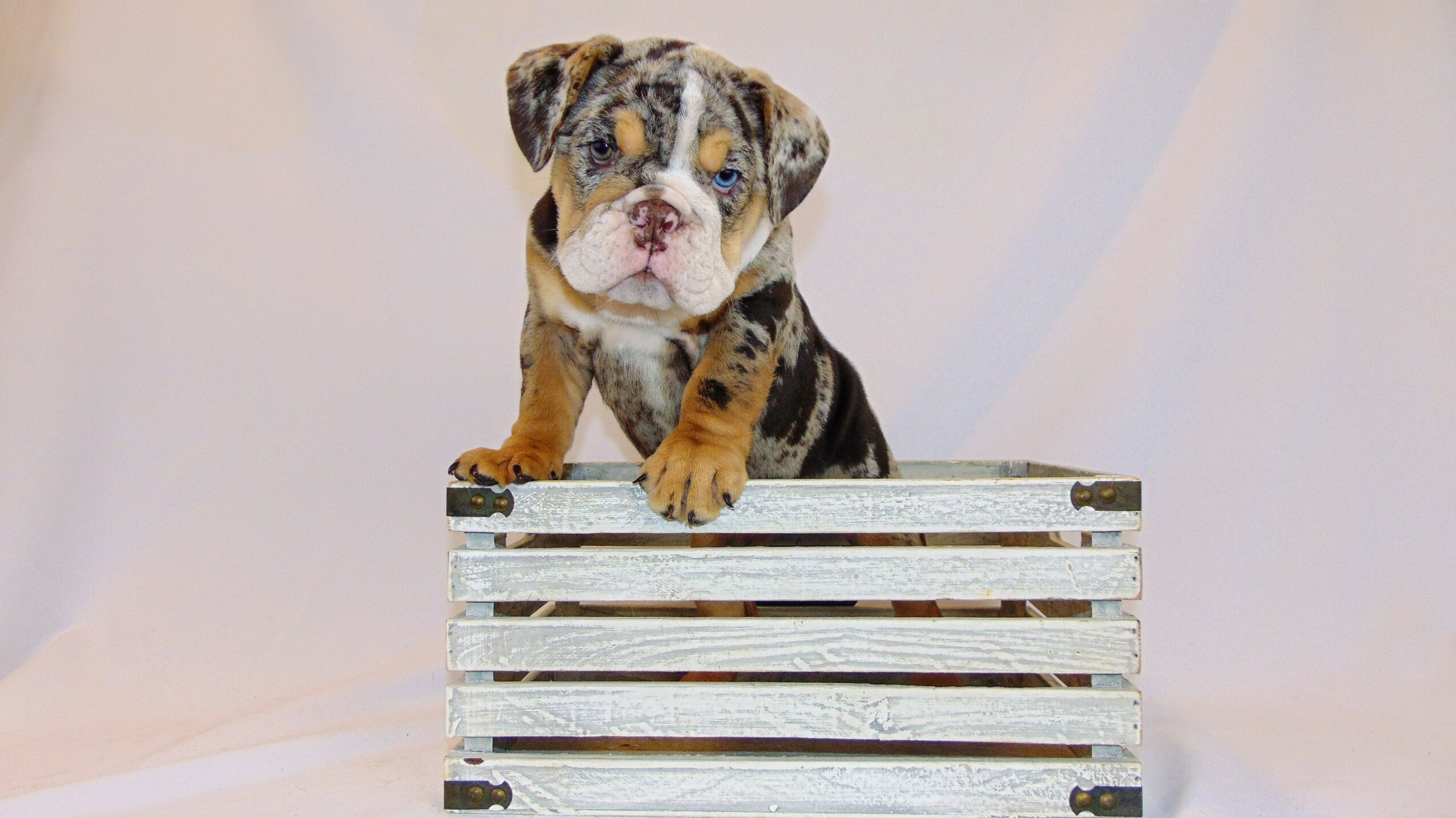 Conversations with Eric Flemming - Voyage MIA Magazine | Miami City Guide