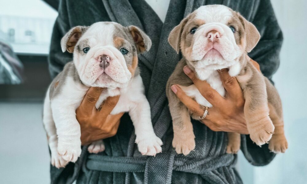 Conversations with Eric Flemming - Voyage MIA Magazine | Miami City Guide