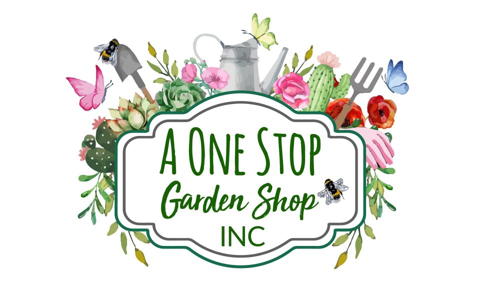 Inspiring Conversations with Raina Adams of A One Stop Garden Shop - Voyage MIA Magazine | Miami ...