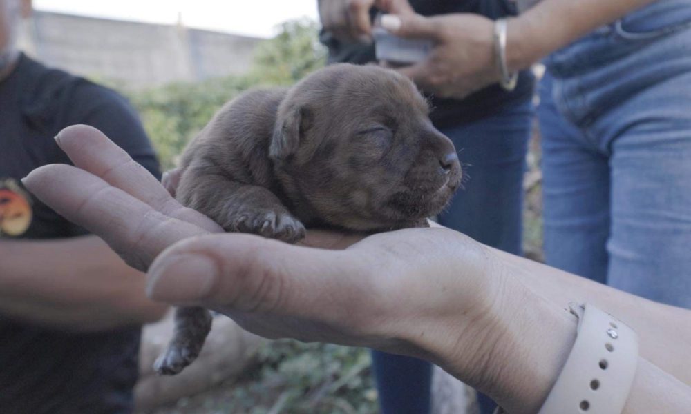 Conversations with Thalia Haseotes - Voyage MIA Magazine | Miami City Guide