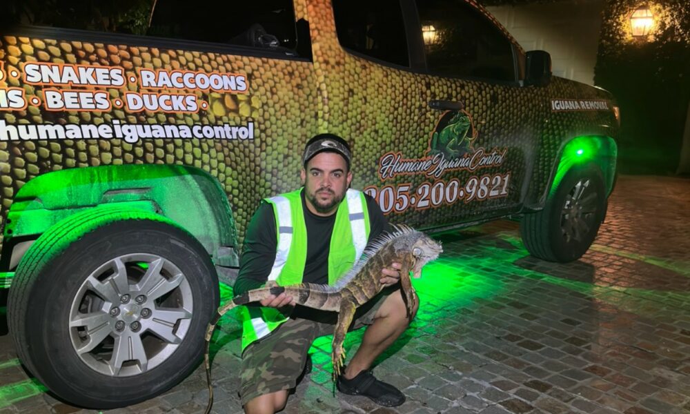 Inspiring Conversations with Michael Ronquillo of Humane Iguana Control ...