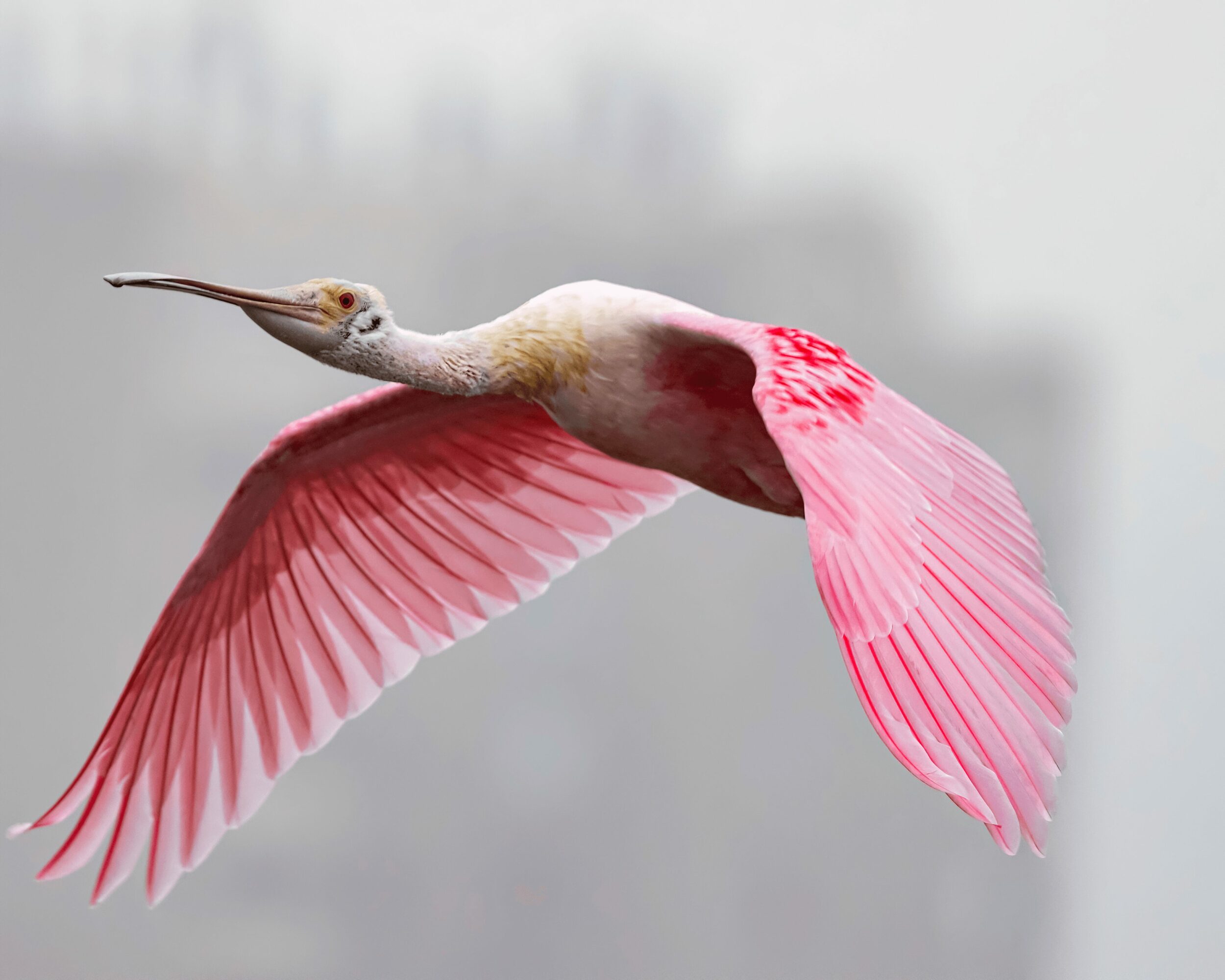 c-1716971207055-edward_munoz_3c0a4334b - Voyage MIA Magazine | Miami ...