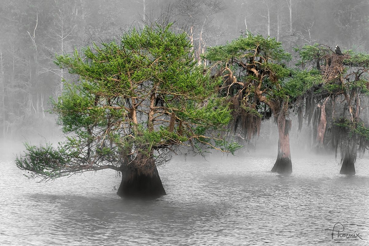 Check Out Phoenix SpiritDiva’s Story - Voyage MIA Magazine | Miami City ...