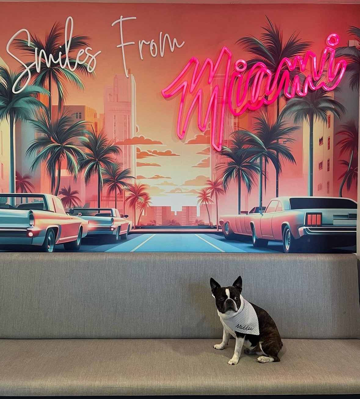 Rising Stars: Meet Greg Ross of South Miami – Voyage MIA Magazine ...