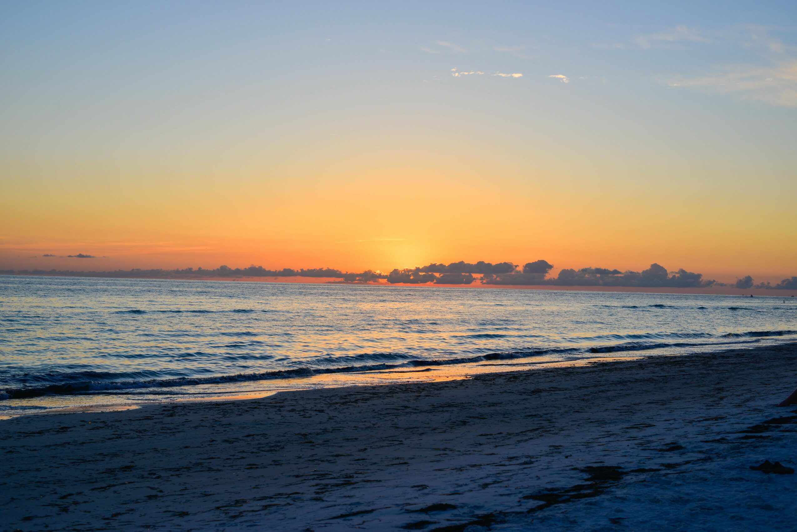 Check Out Emma Alonso’s Story - Voyage MIA Magazine | Miami City Guide