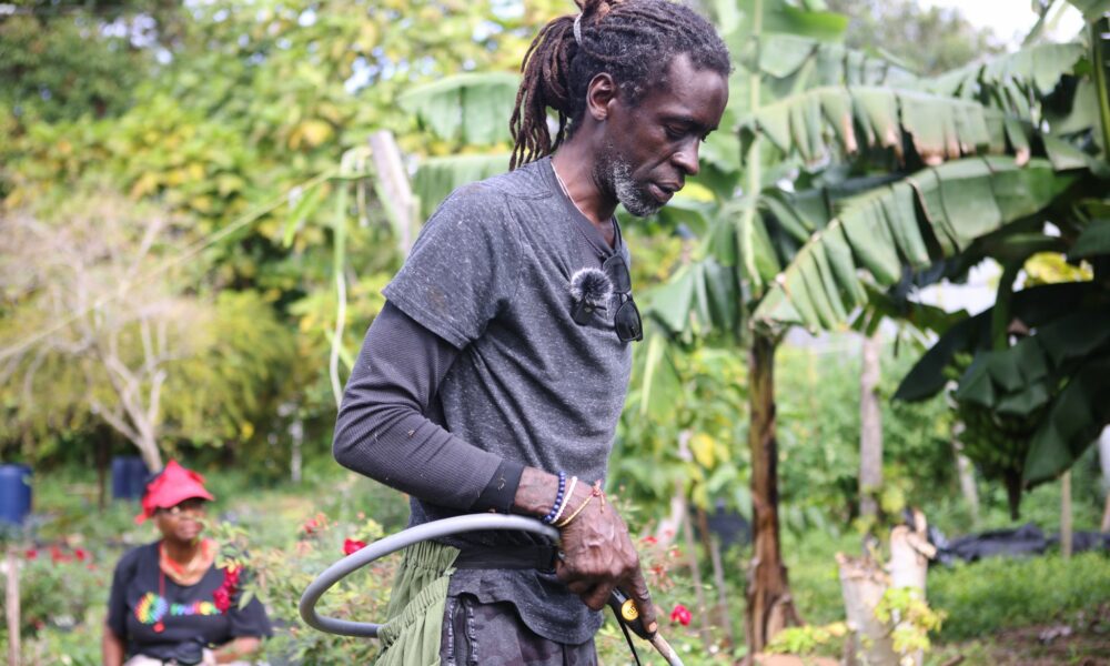 Meet Roger Horne of Liberty City Miami - Voyage MIA Magazine | Miami ...