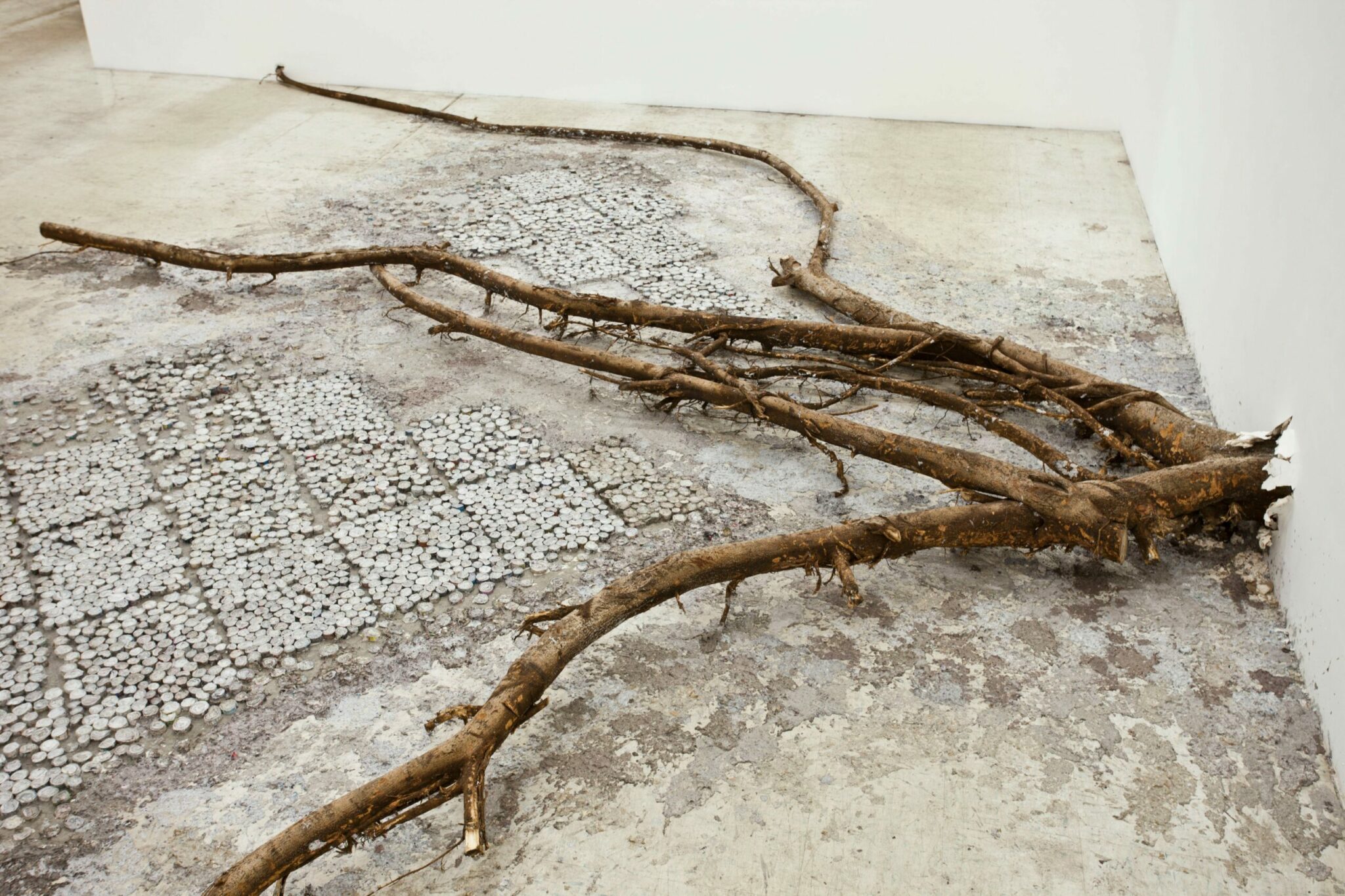 Check Out Fabian Peña’s Story - Voyage MIA Magazine | Miami City Guide