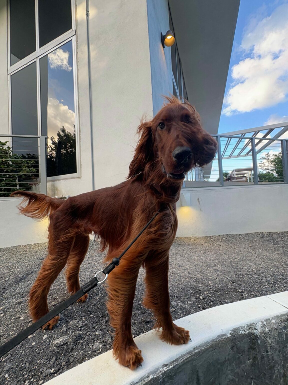 Exploring Life & Business with Eduardo Machado of Howl Nation Boutique ...