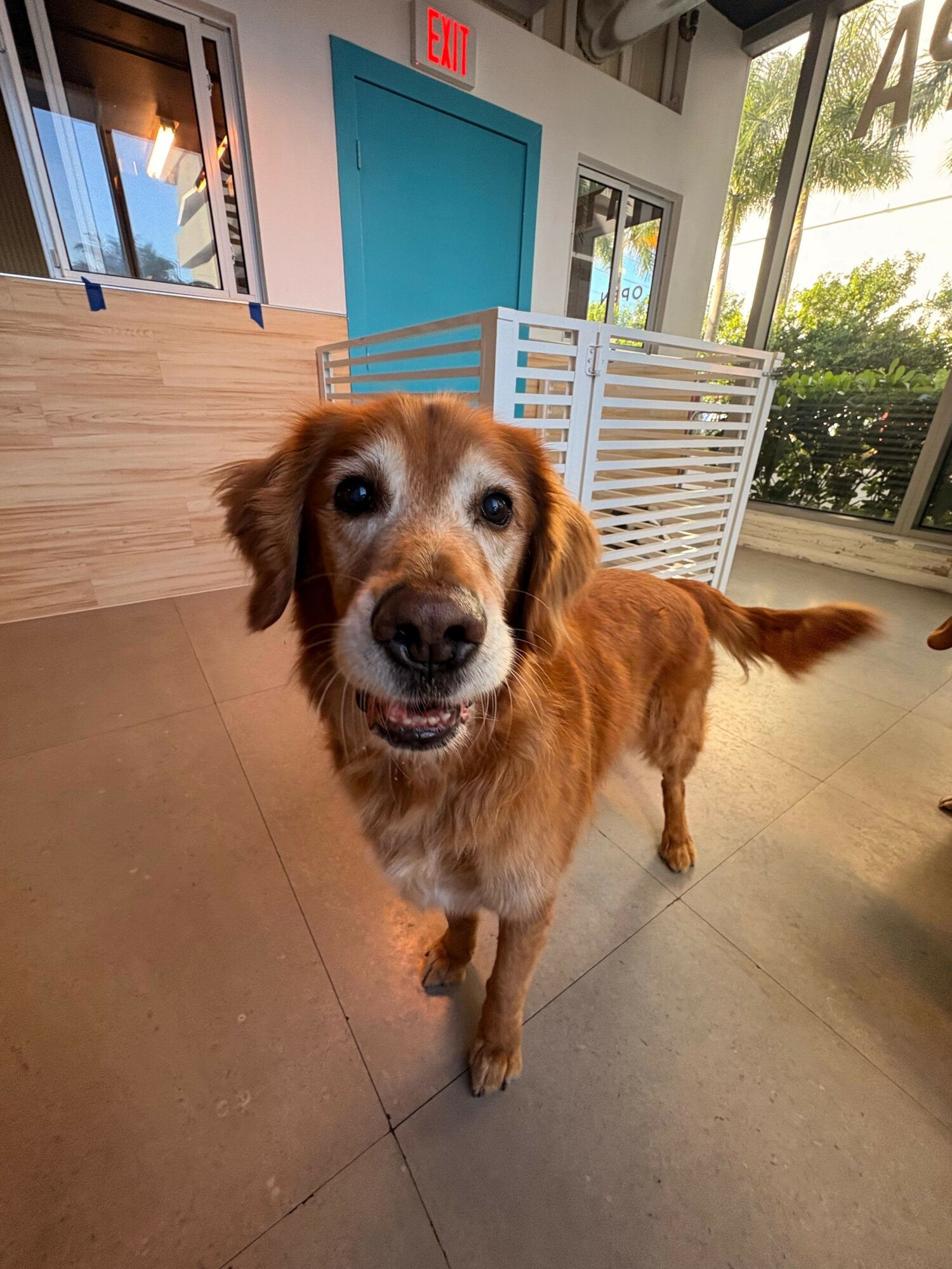 Exploring Life & Business with Eduardo Machado of Howl Nation Boutique ...